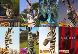 Marty | Madagascar Wiki | Fandom