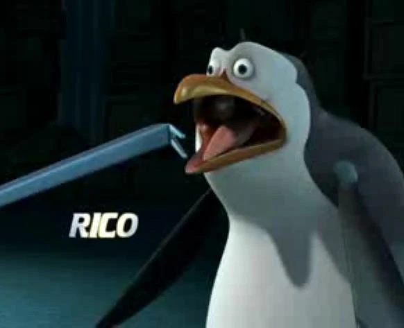 Image - Rico-i001.jpg | Madagascar Wiki | FANDOM powered by Wikia