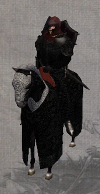Arcane Defender | Perisno Wiki | Fandom
