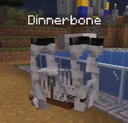 Dinnerbone | PewDiePie Wiki | Fandom