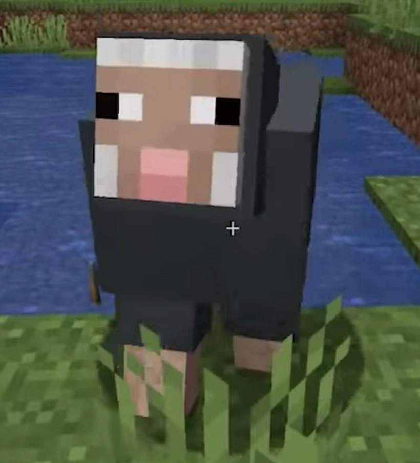 Water Sheep | PewDiePie Minecraft Series Wiki | Fandom