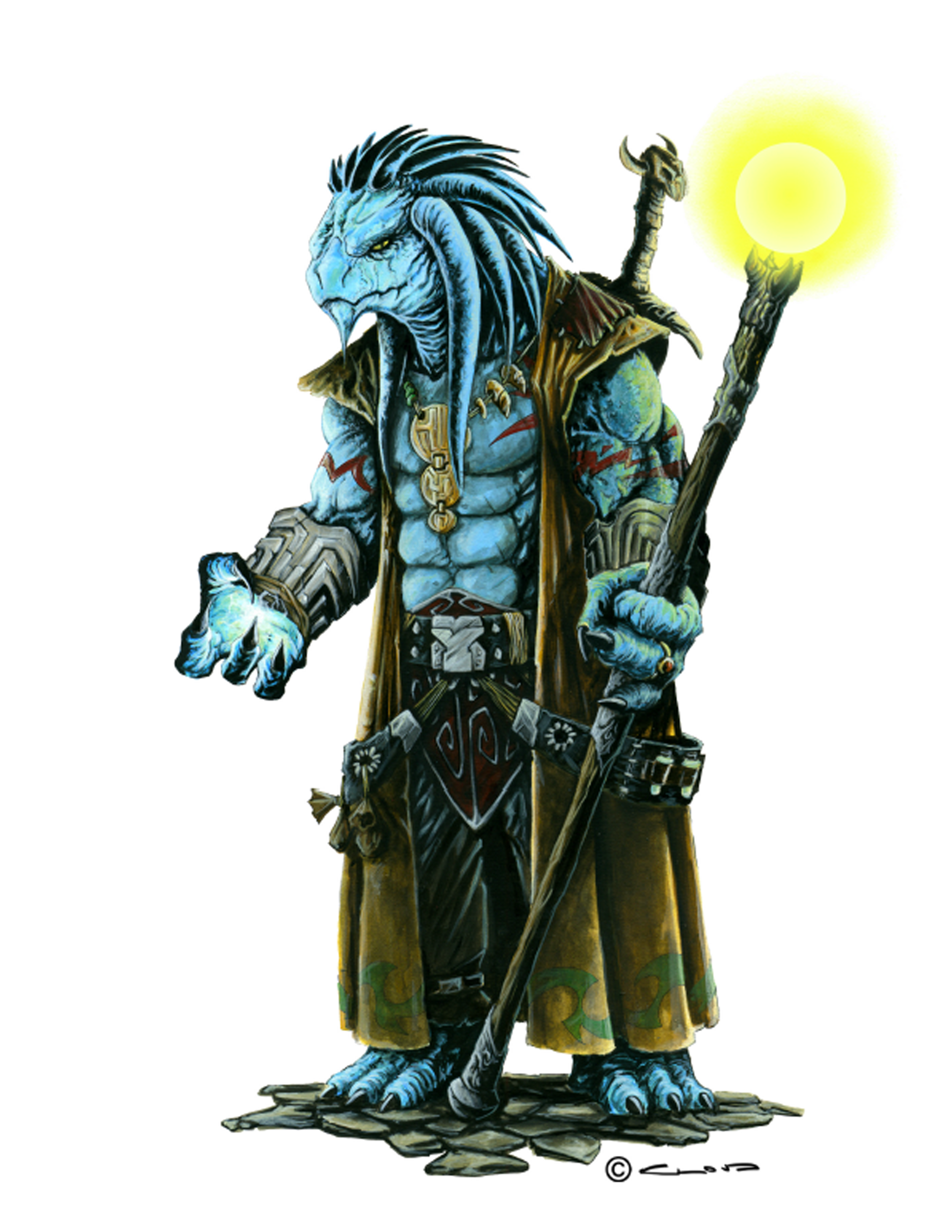 Dragonborn Phaeselis Wiki Fandom Powered By Wikia