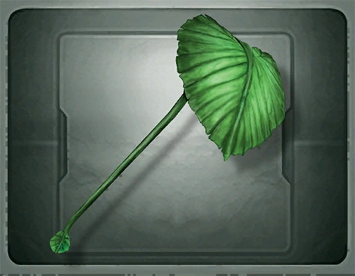 Plantain Leaf | Phantasy Star Wiki | FANDOM powered by Wikia