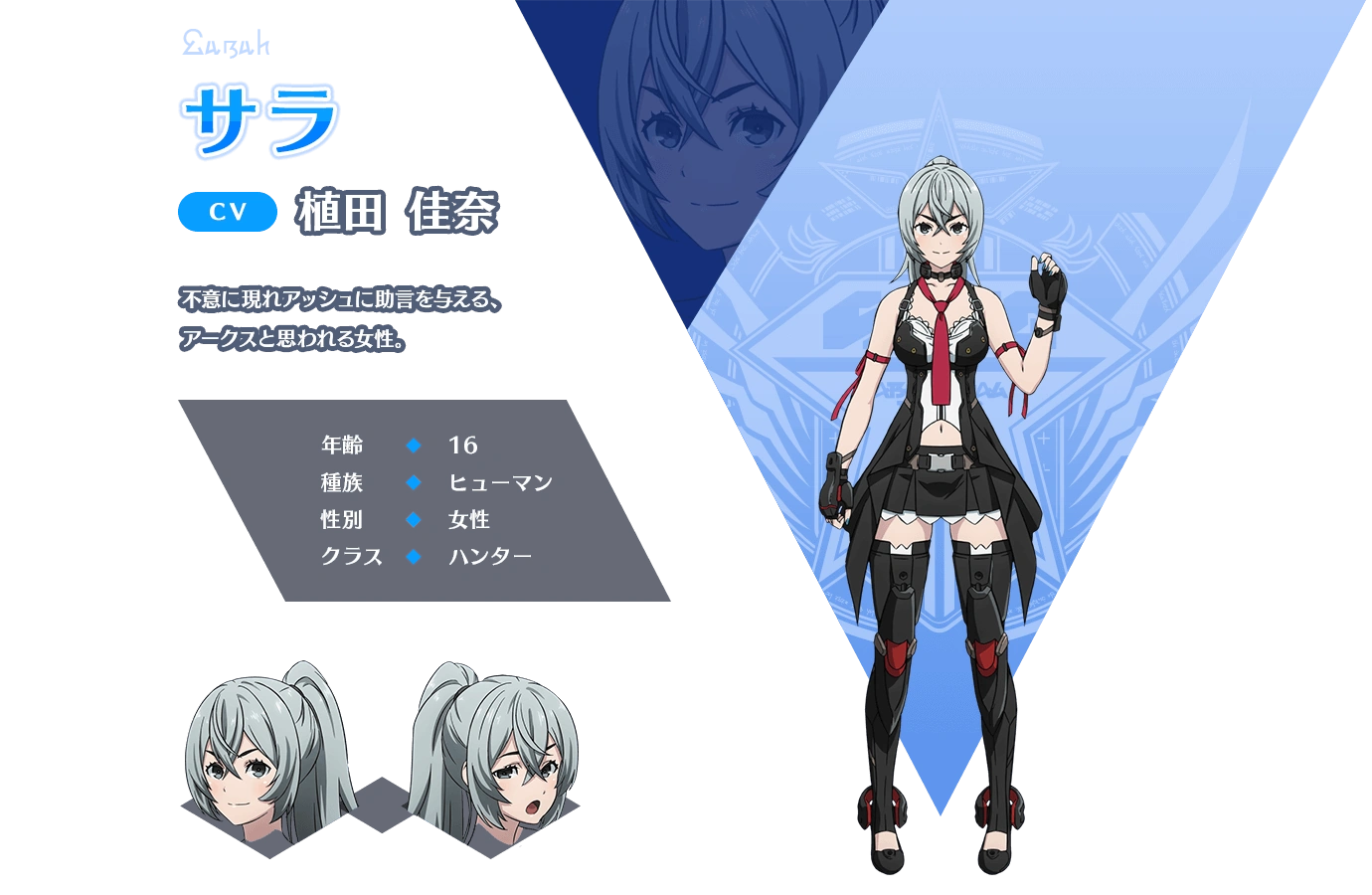 Sarah/Gallery | Phantasy Star Wiki | Fandom