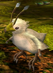 El Rappy | Phantasy Star Wiki | Fandom