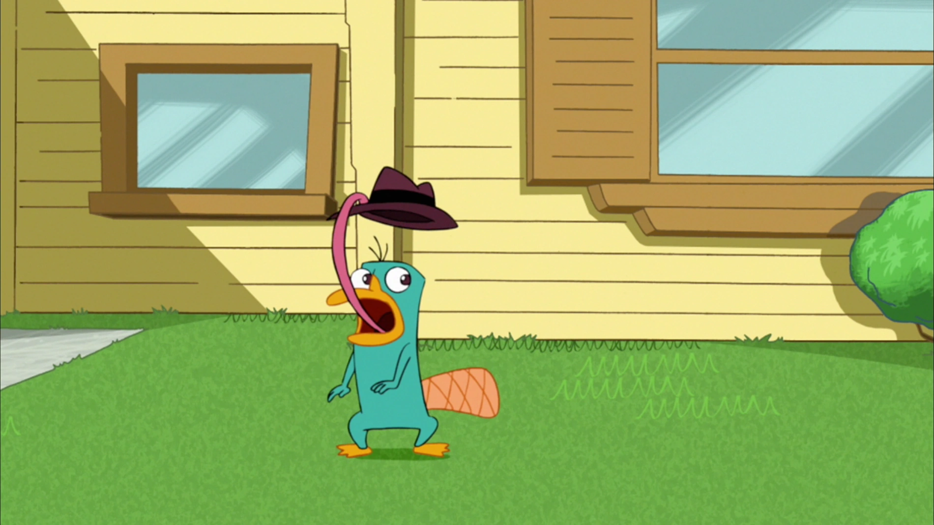 Image - Perry lassoing his hat.png | Phineas and Ferb Wiki | FANDOM ...