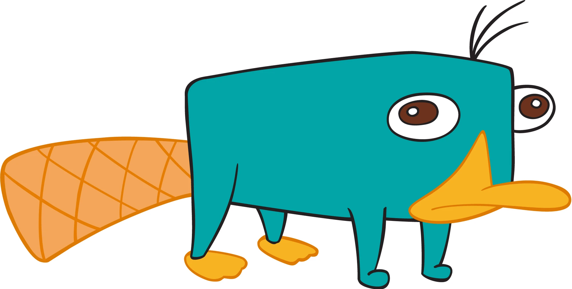 Imagem - Perry, o Ornitorrinco.png | Phineas e Ferb Wiki | FANDOM ...