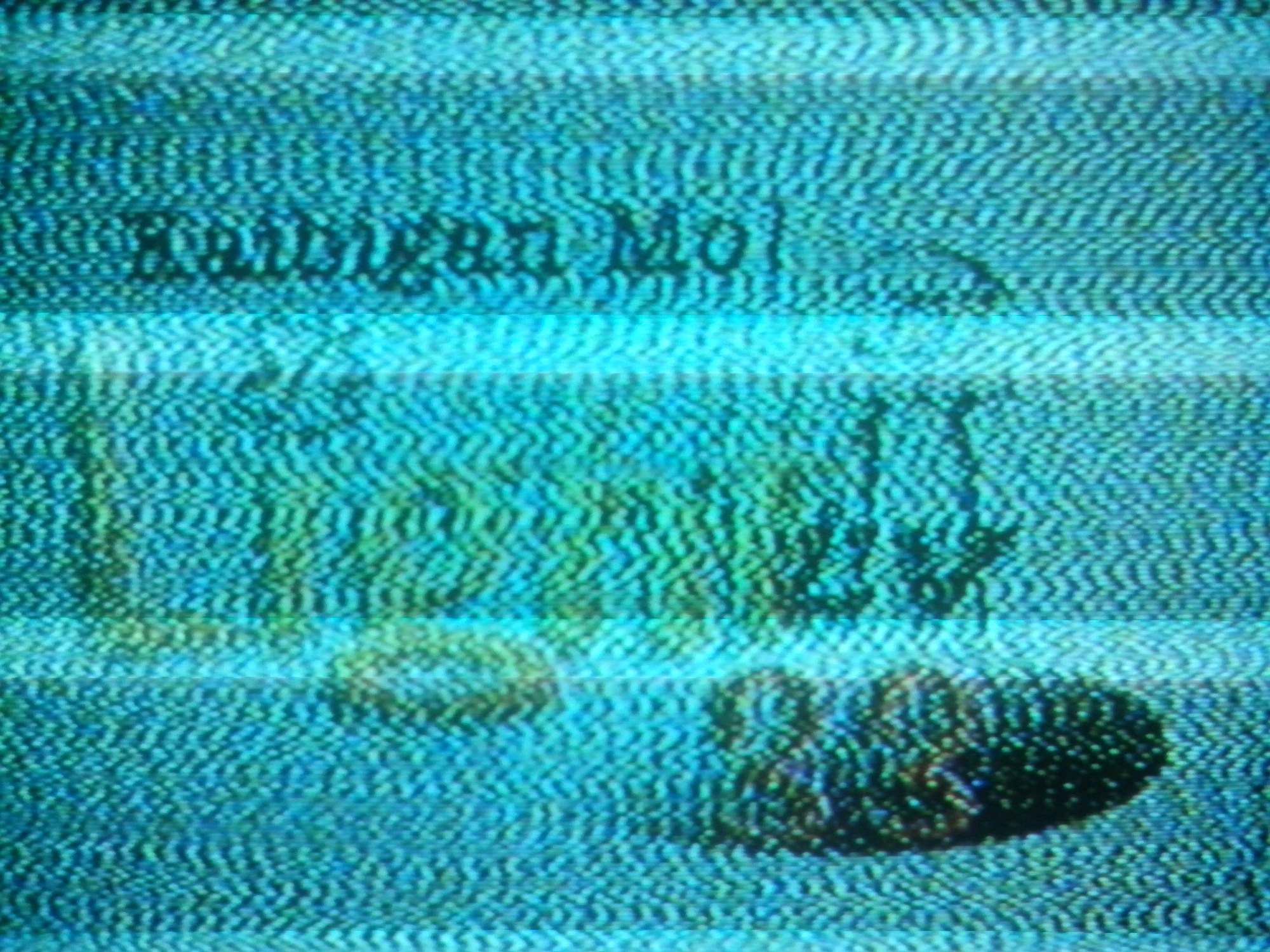 ZOE Broadcasting Network | TVListpedia | Fandom