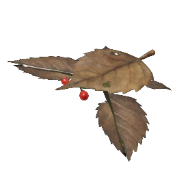 Pikmin Leaf