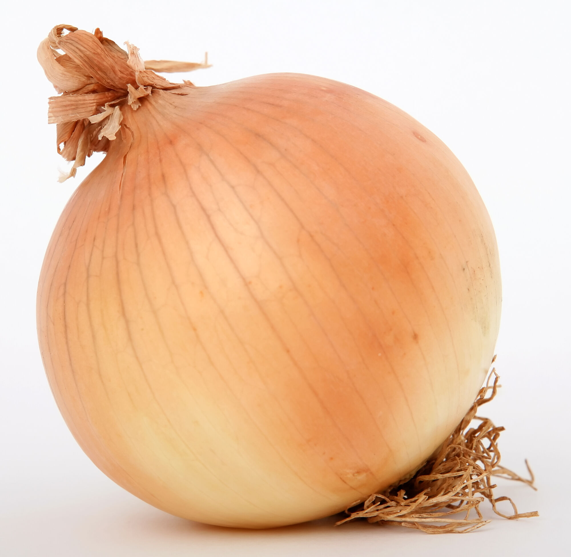 Onion Replica | Pikmin | FANDOM powered by Wikia Onion Replica | Pikmin | FANDOM powered by Wikia
