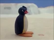 Giant Walrus | Pingu Wiki | FANDOM powered by Wikia