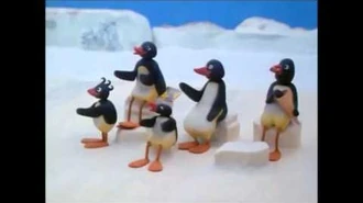 Pingu's Circus | Pingu Wiki | Fandom