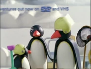 Pingu's Bouncy Fun | Pingu Wiki | Fandom