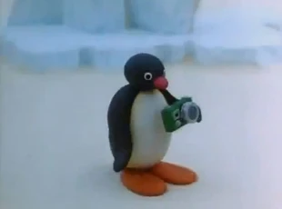 Pingu the Photographer | Pingu Wiki | Fandom