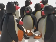 Pingi | Pingu Wiki | Fandom