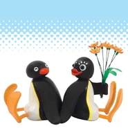 Pingi | Pingu Wiki | Fandom