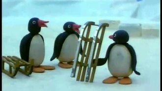 Sledging | Pingu Wiki | Fandom