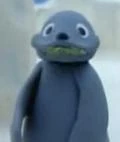 Robby the Seal | Pingu Fanon Wiki | Fandom