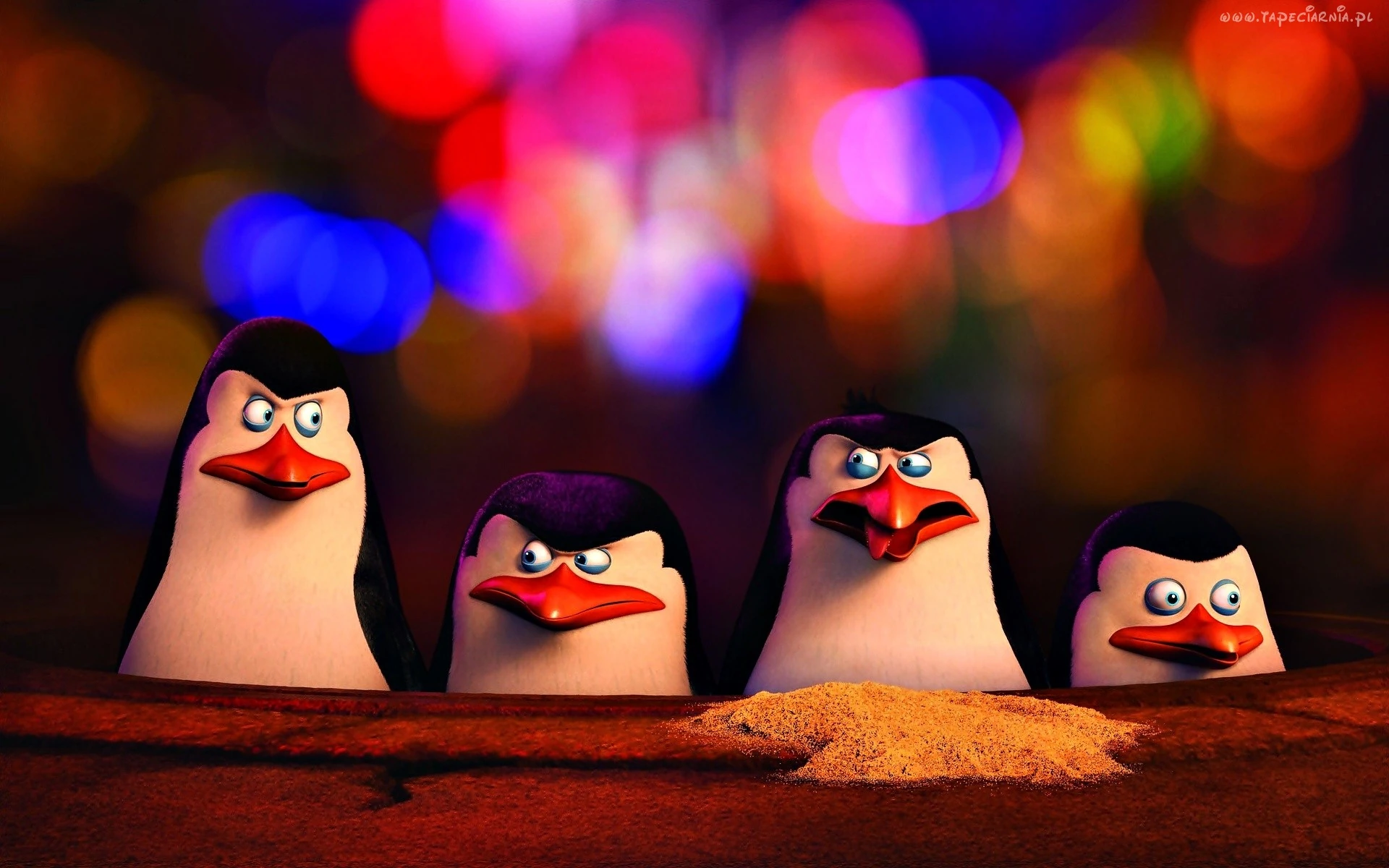 Test | Pingwiny z Madagaskaru fanfakty Wiki | Fandom