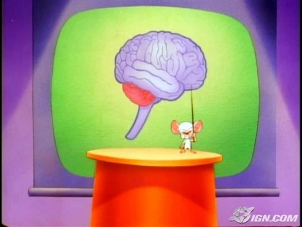 Tokyo Grows/That Smarts/Brainstem | Pinky and the Brain Wiki | FANDOM ...