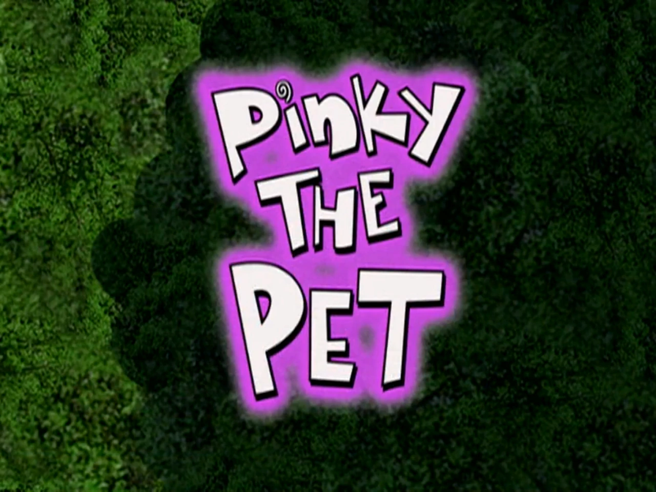 Pinky the Pet | Pinky Dinky Doo Wiki | Fandom