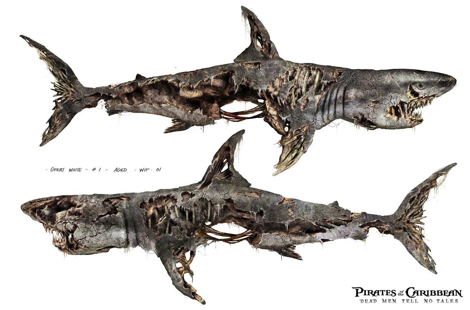 Image - DMTNT Concept Art Ghost Sharks.jpg | PotC Wiki | FANDOM powered ...