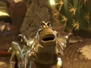 Molt | Pixar Wiki | Fandom