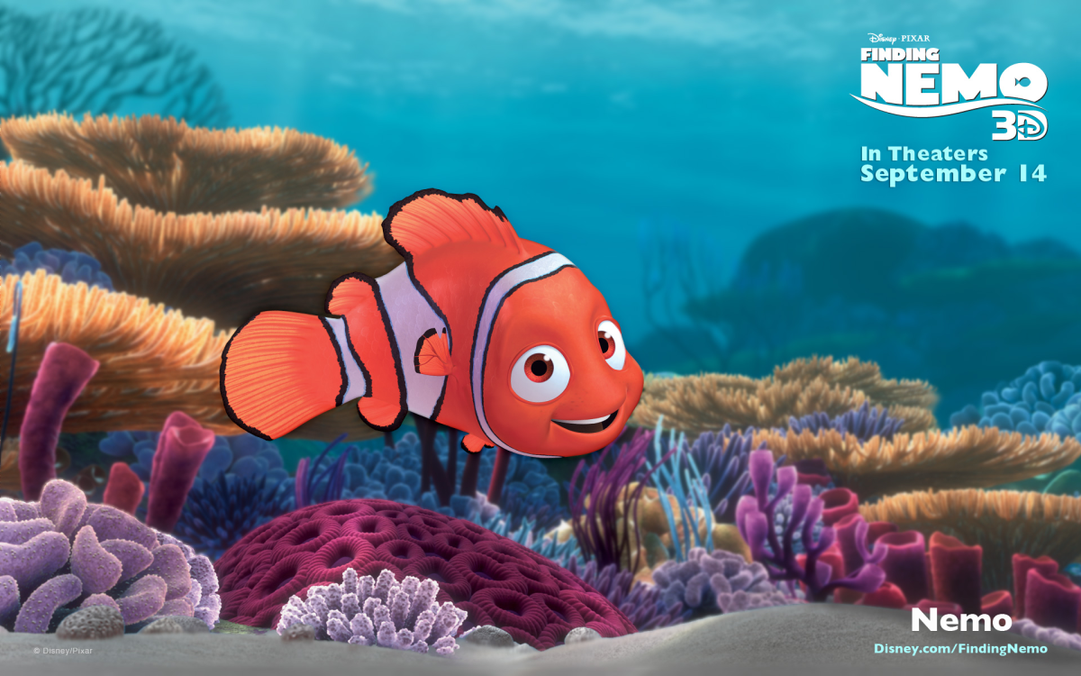 Nemo | Pixar Wiki | FANDOM powered by Wikia Nemo | Pixar Wiki | FANDOM powered by Wikia