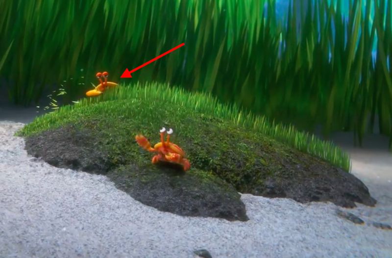 Bill (Finding Dory) | Pixar Wiki | Fandom Bill (Finding Dory) | Pixar Wiki | Fandom