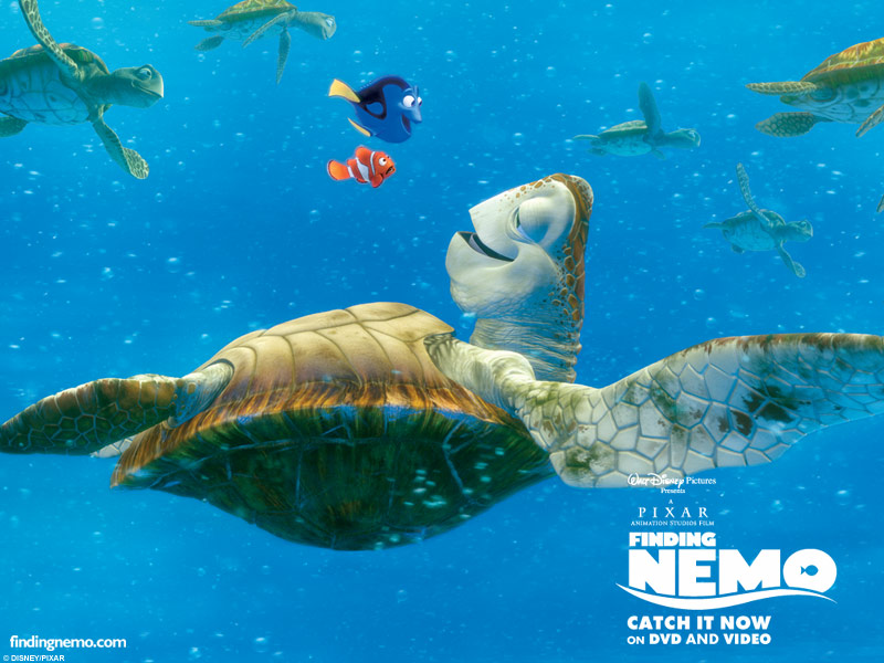 Image - Finding Nemo 002.jpg | Pixar Wiki | FANDOM powered by Wikia Image - Finding Nemo 002.jpg | Pixar Wiki | FANDOM powered by Wikia