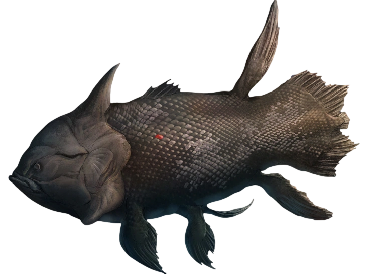 Relicanth | PokemonArvalis Wiki | Fandom