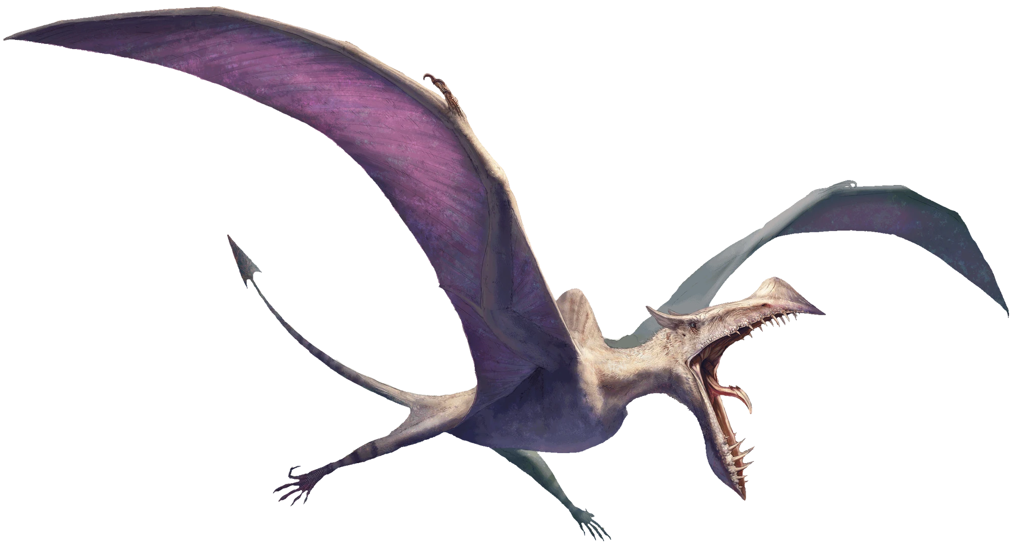 Aerodactyl | PokemonArvalis Wiki | FANDOM powered by Wikia