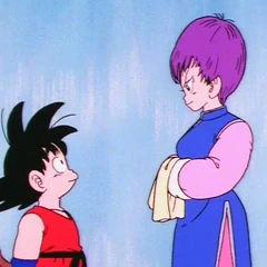 Fanfan | Dragon Ball Wiki | FANDOM powered by Wikia