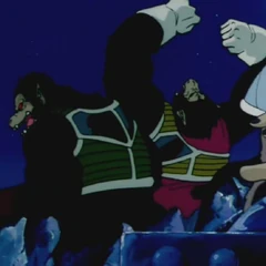 Celipa | Dragon Ball Wiki | Fandom