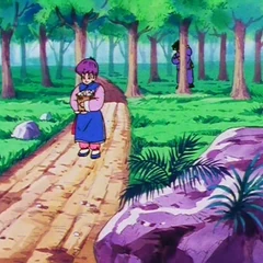 Fanfan | Dragon Ball Wiki | FANDOM powered by Wikia