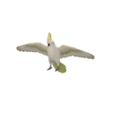 Małe zwierzęta | Simspedia | FANDOM powered by Wikia