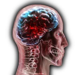 Necroa Virus | Plague Inc. Wiki | Fandom