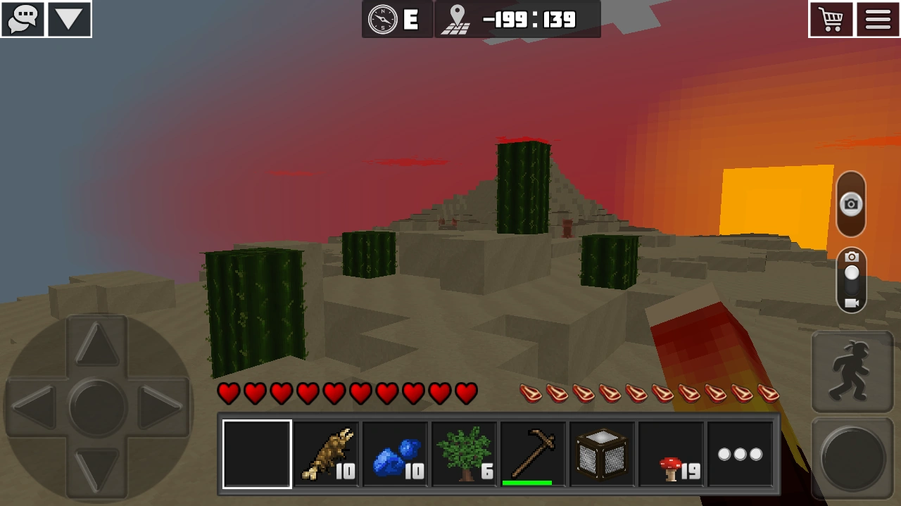 Cactus | Planet of Cubes Wiki | Fandom
