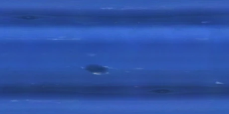 Neptune | Planet Texture Maps Wiki | FANDOM powered by Wikia
