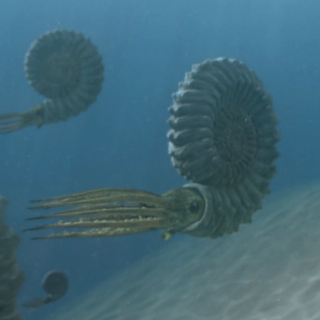 All BBC JellyFish studios creatures by kingrexy on DeviantArt