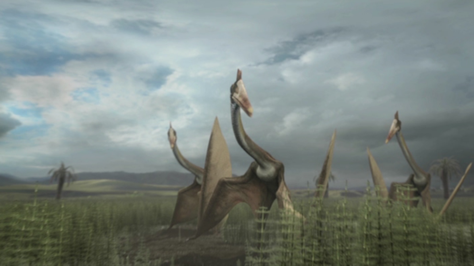Hatzegopteryx Planet Dinosaur Wiki Fandom Powered By Wikia