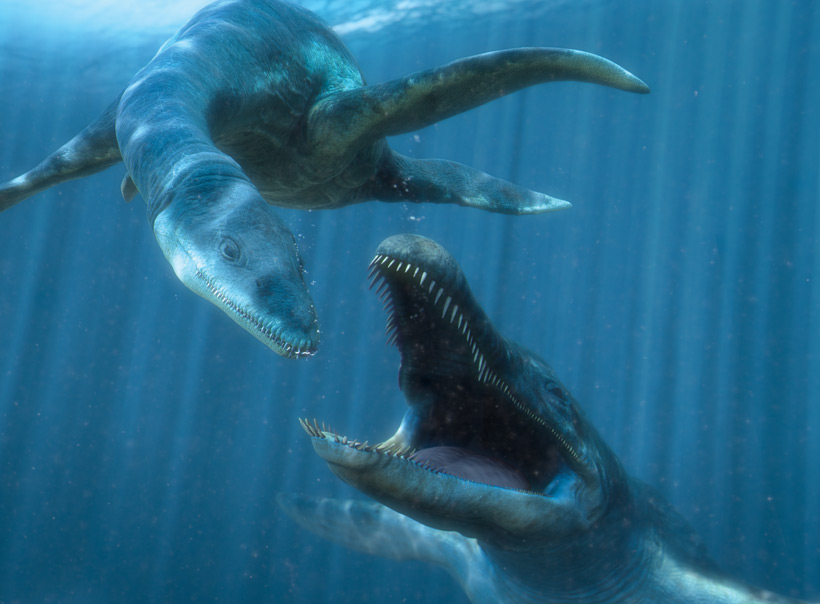 Kimmerosaurus Planet Dinosaur Wiki Fandom Powered By Wikia