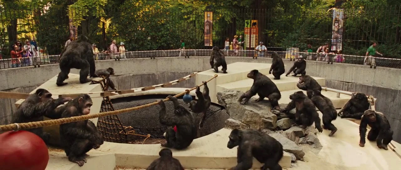 San Francisco Zoo | Planet of the Apes Wiki | FANDOM powered by Wikia