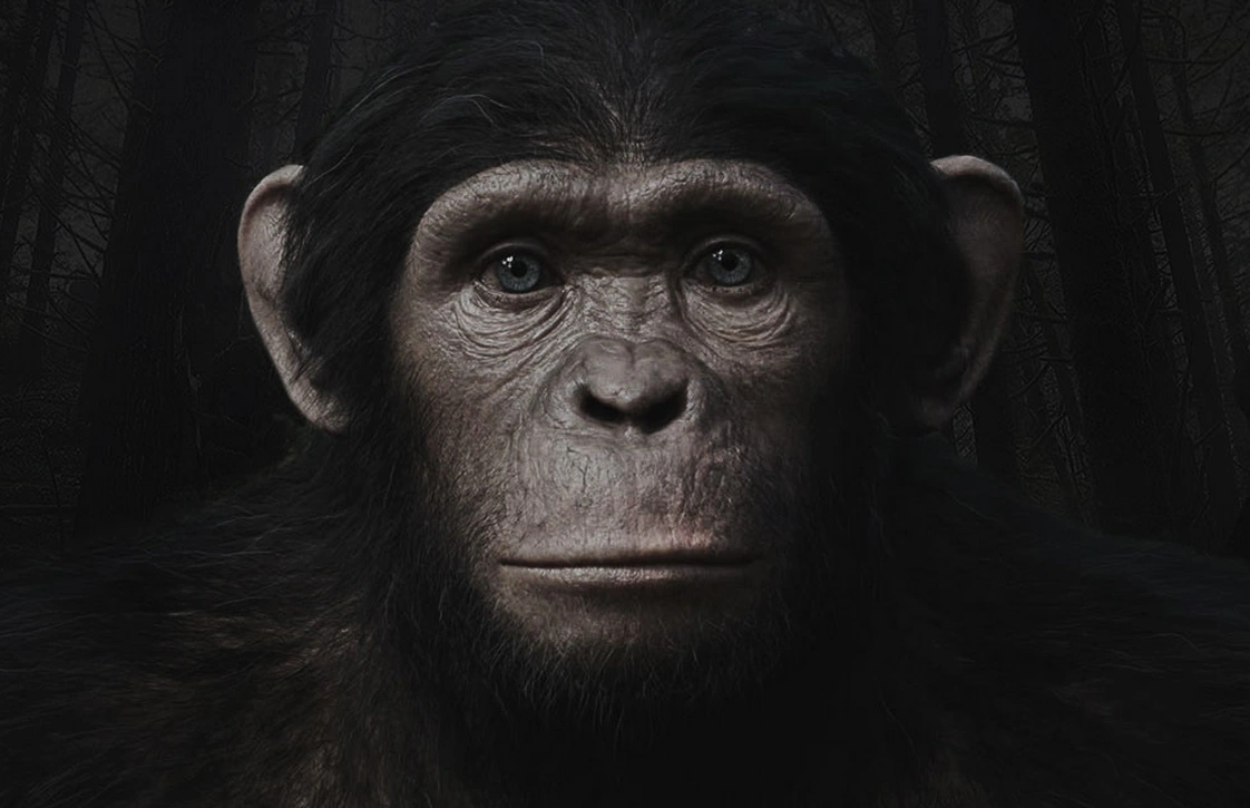 Image - Blue Eyes.png | Planet of the Apes Wiki | FANDOM powered by Wikia