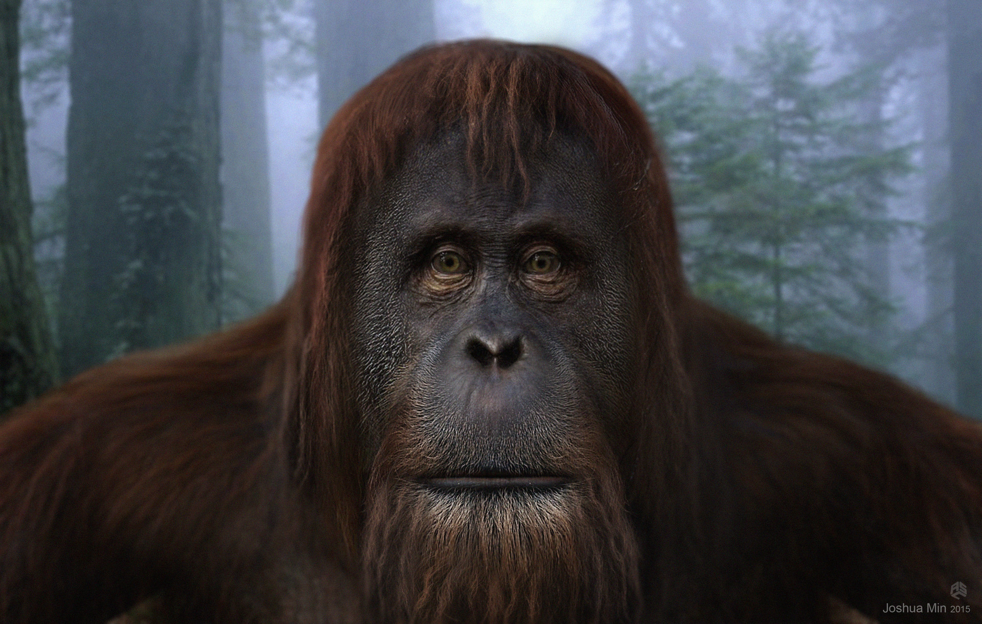 Image - WPOTA Orangutan Elder 4.jpg | Planet of the Apes Wiki | FANDOM ...