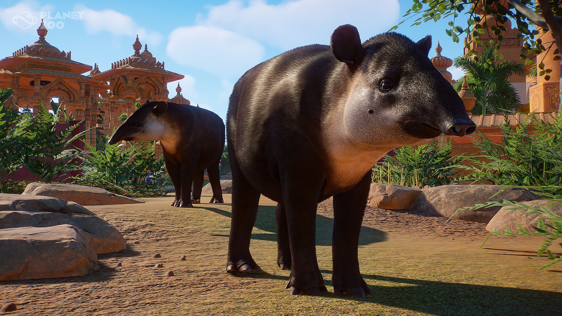 Baird's Tapir | Planet Zoo Wiki | FANDOM powered by Wikia