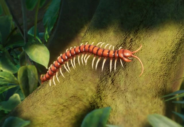 Escolopendra Gigante | Planet Zoo Wiki | Fandom