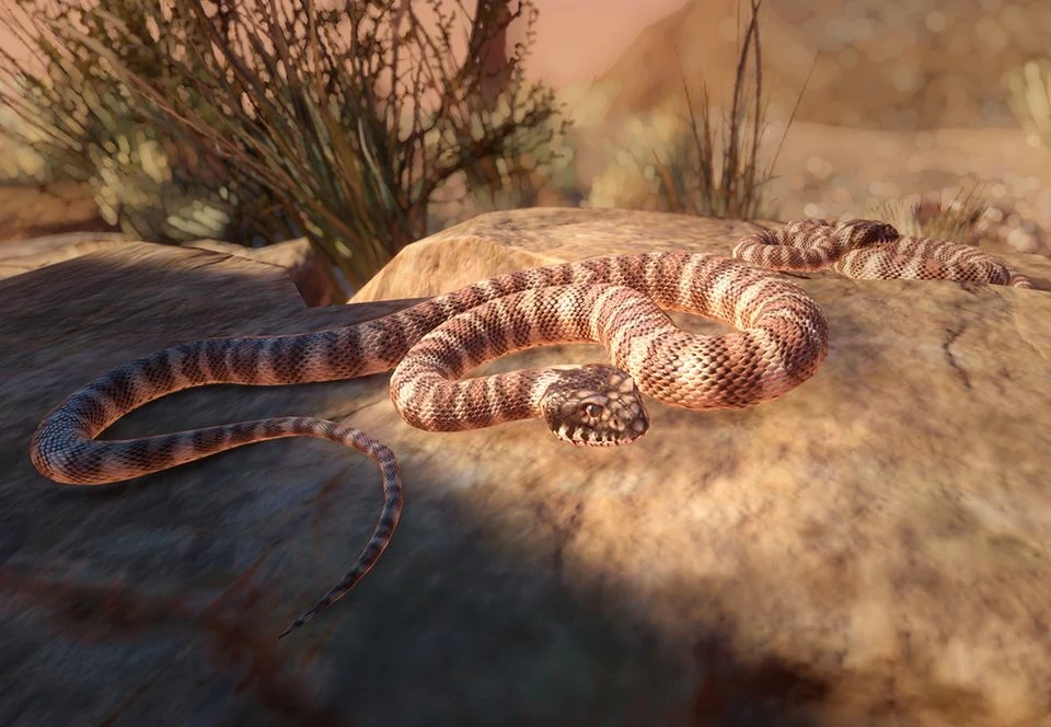 Common Death Adder | Planet Zoo Wiki | Fandom