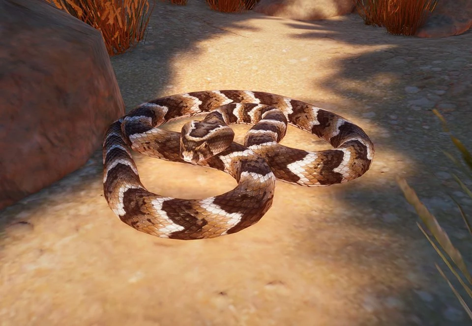 Puff Adder | Planet Zoo Wiki | Fandom
