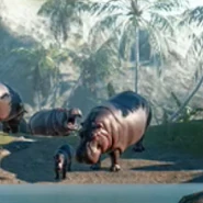 Hippopotamus | Planet Zoo Wiki | FANDOM powered by Wikia